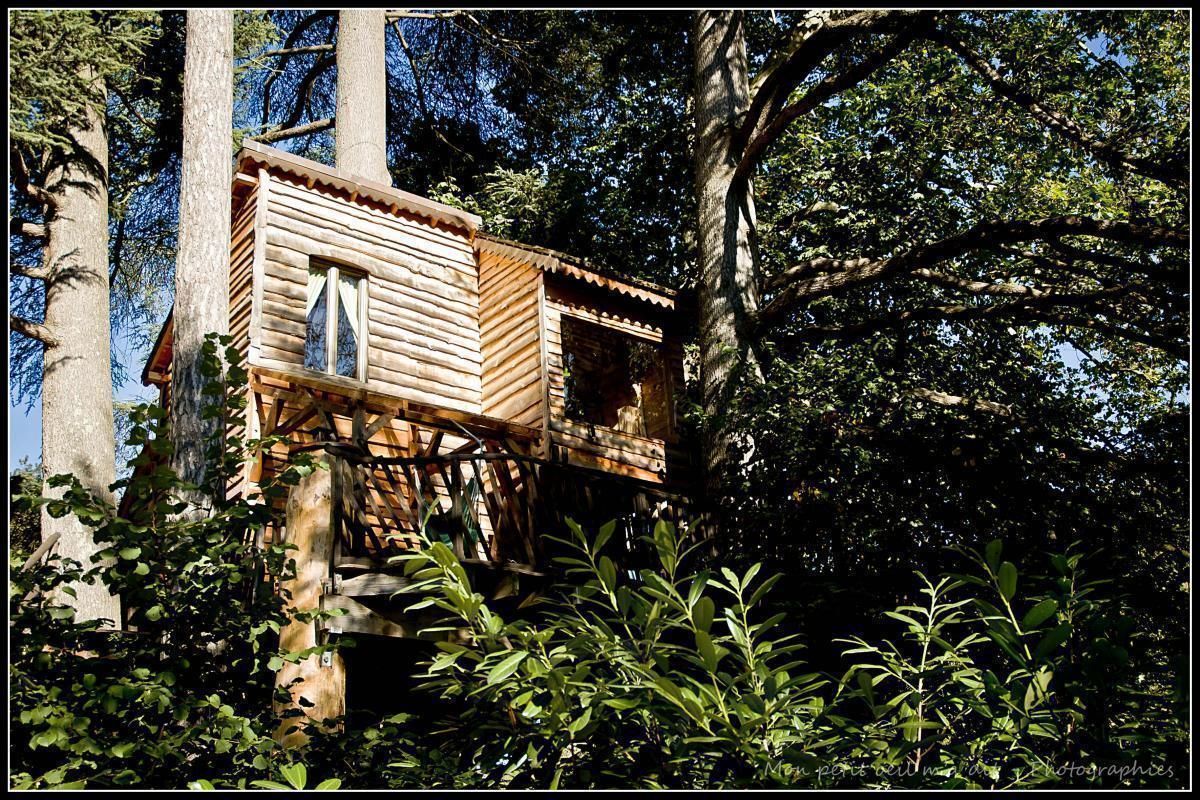 Cabane dans les arbres Cabane Au Fil De Soi à Issamoulenc - N°398 ...